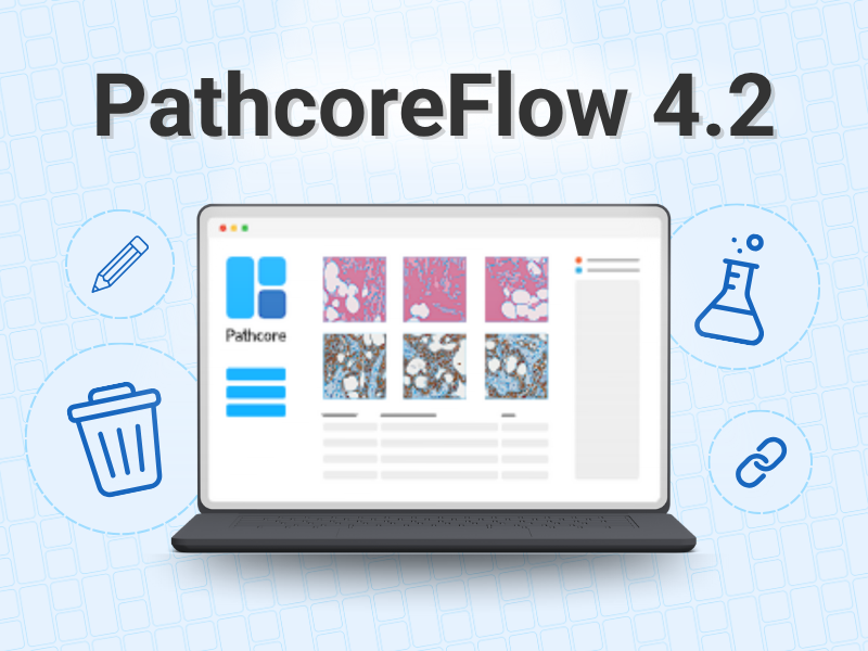 PathcoreFlow 4.2: Digital pathology software built for smarter workflows
